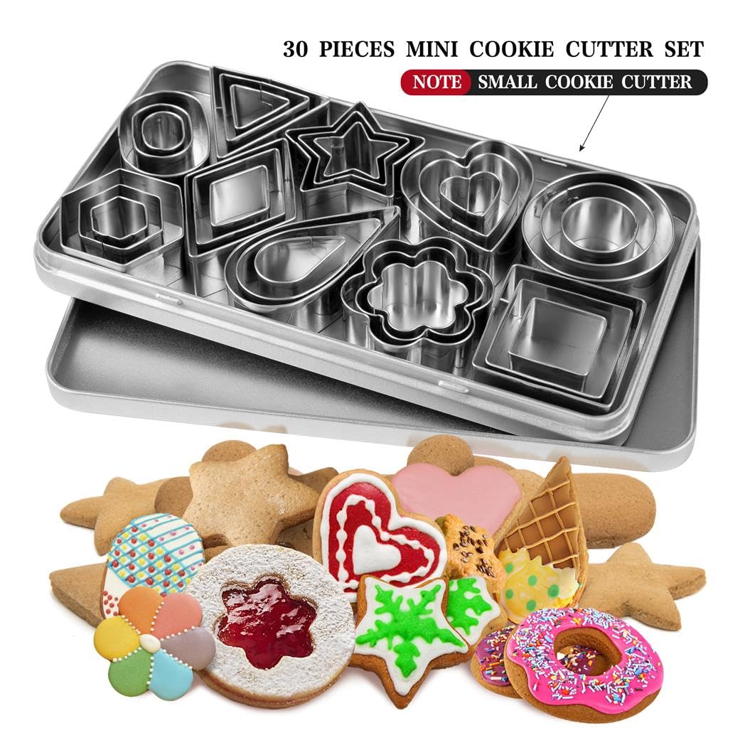 Mini Cookie Cutters Set with Box, QtoiKce 30Pcs Small Stainless Steel Flower Square Heart Round Star Triangle Oval Shapes Cookie Cutters, Mini Polymer Clay Cutters for Kids
