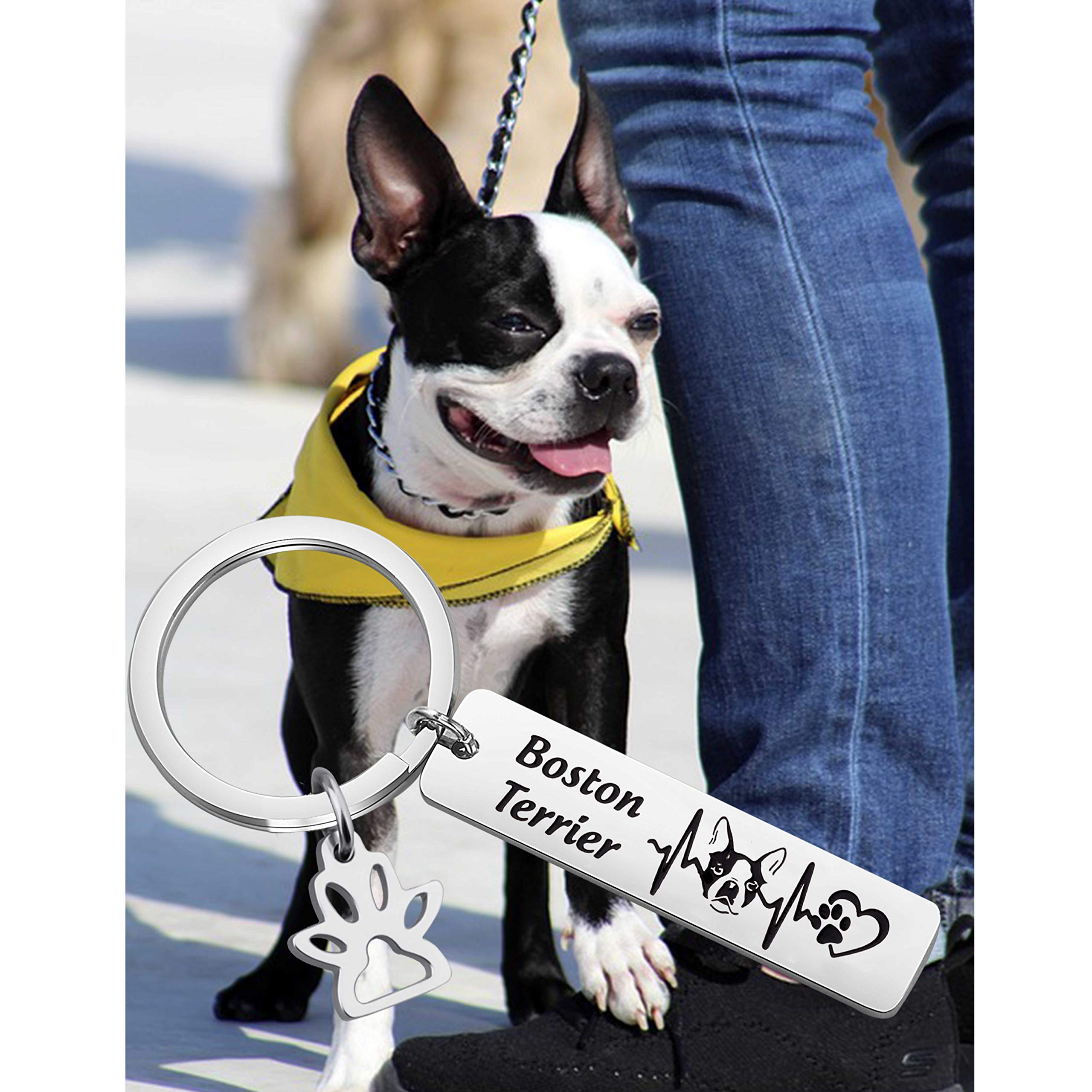FUSTMW Dog Owner Keychain Boston Terriers,Boxer,Dachshund,Jewelry Golden Receiver,Pitbull Dog Lover Gifts Pet Rescue Gift (Boston Terriers)