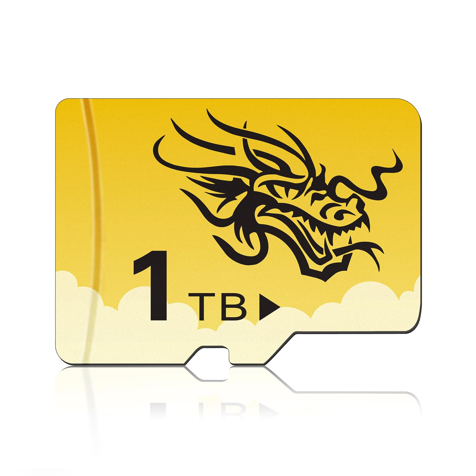 GOLTTY Memory Card 1TB, Ultra UHS-I Memory Card, C10, U3, Full HD, A1, High Speed TF Card, Expanded Storage for Android Smartphones, Tablets