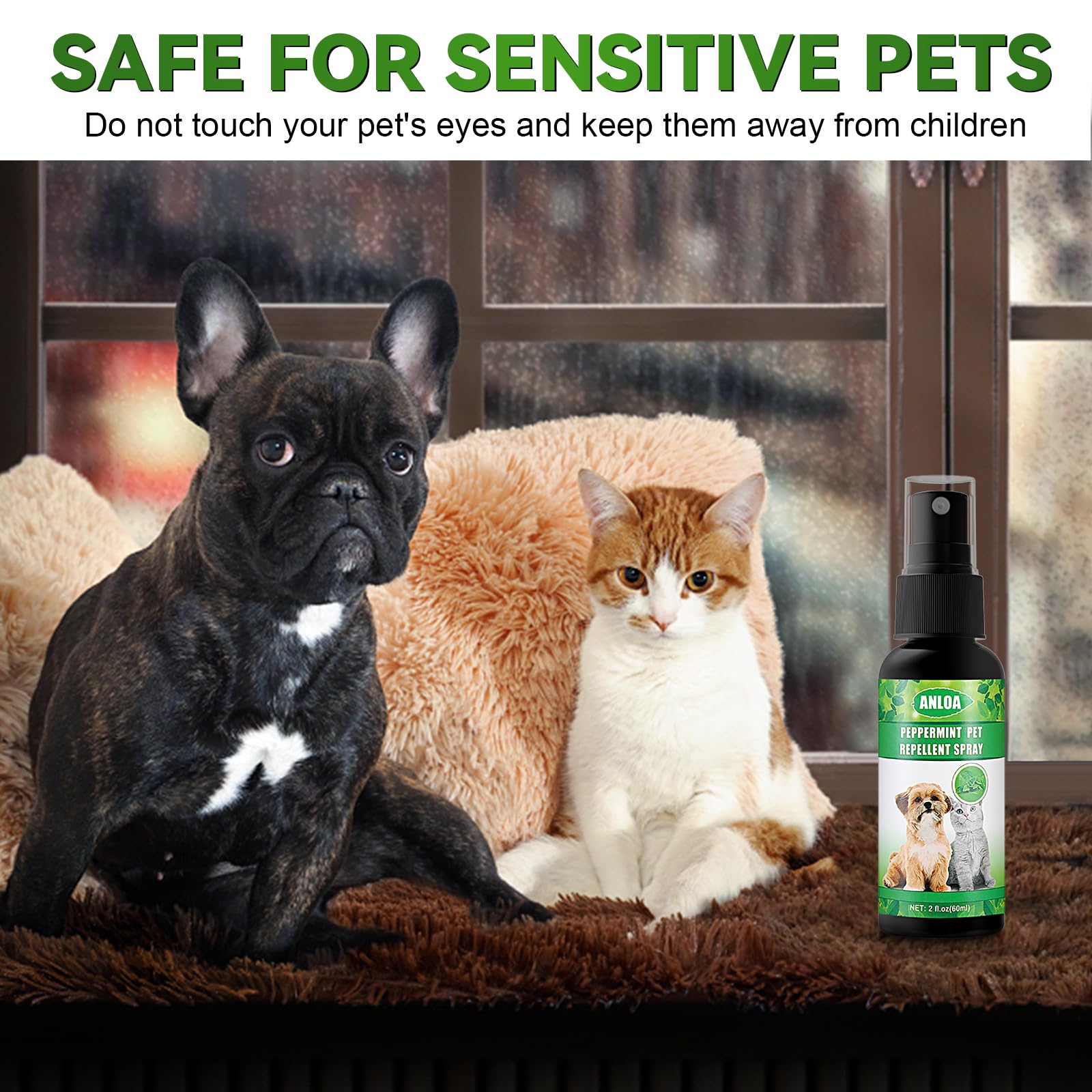 Flea and Mite Home Spray for Cats and Dogs, Essential flea and mite Treatment, Protects Your Home from Fleas and eliminates pet odours, Botanical Formula, for Indoor and Outdoor use (2oz)