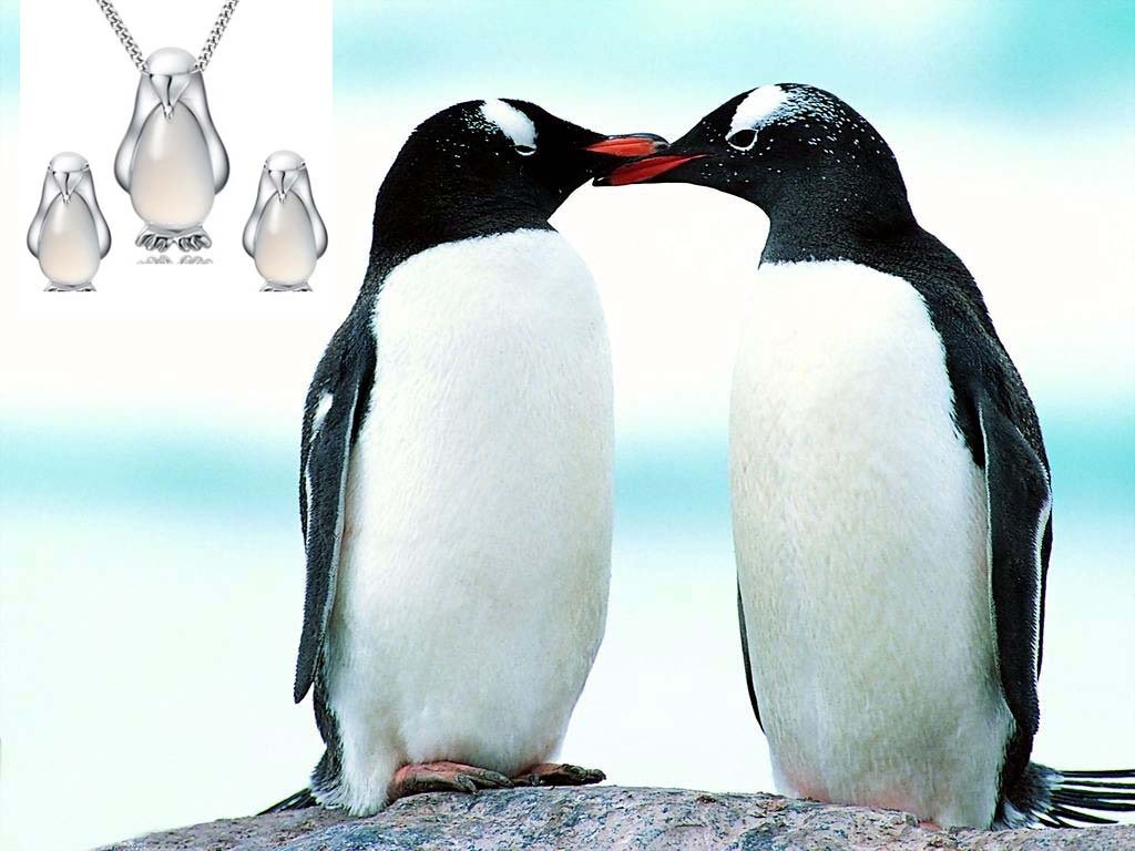 findout Sterling Silver Penguin Opal Pendant Necklace + Earrings Set, with 18 in Curb Chain(1733)