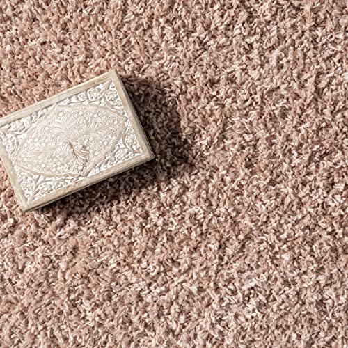 nuLOOM Neva Modern Tasseled Shag Area Rug, 5' 3" x 7' 7", Pink