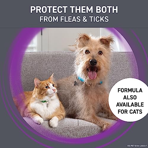 FRONTLINE Plus for Dogs Flea and Tick Treatment (Extra Large Dog, 89-132 lbs.) 6 Doses (Red Box)
