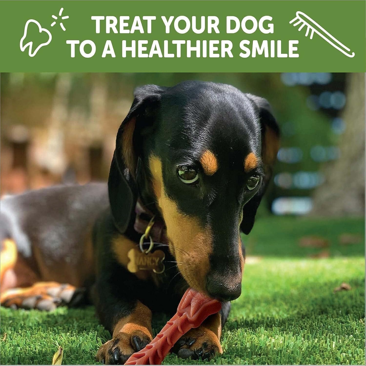 Whimzees Dental Dog Treats - Natural Grain-Free Chews for Healthy Teeth & Gums - Variety Pack - Small Breeds - Vegetarian Dental Care Snacks (2-Pack)