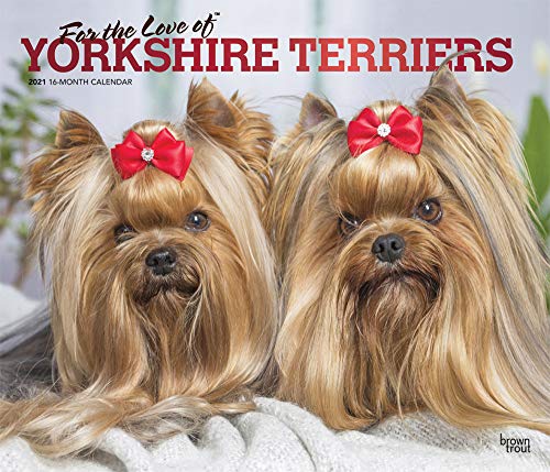 For the Love of Yorkshire Terriers 2021 Calendar: Foil Stamped Cover
