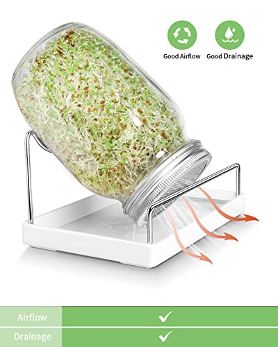 RAYPLE Sprouting Jar Kit, 2 Wide Mouth Mason Jars, Premium Stainless Steel Screen Sprout Lids, Blackout Sleeves, Tray, Stand, Sprouting Kit for Growing Broccoli,Alfalfa,Mung Bean