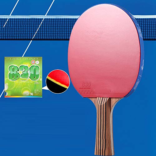 Hewen-Ping Pong Set Durable Table Tennis Set Table Tennis Racket Ping Pong Bat Set with 1 Rackets, 10 Balls and 1 Racket Case Table Tennis Bat (Size : Short)