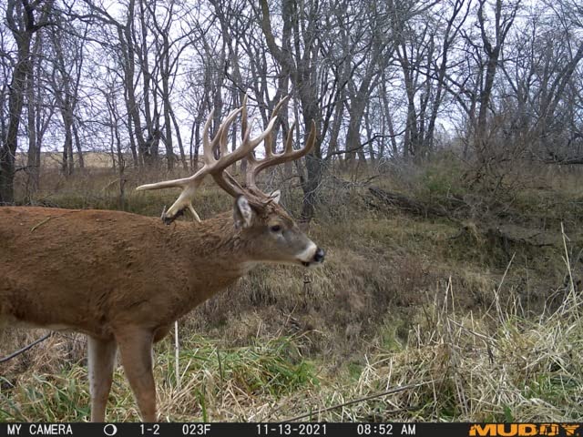 Muddy Outdoors MTC100X 14.0 MP Trail Camera