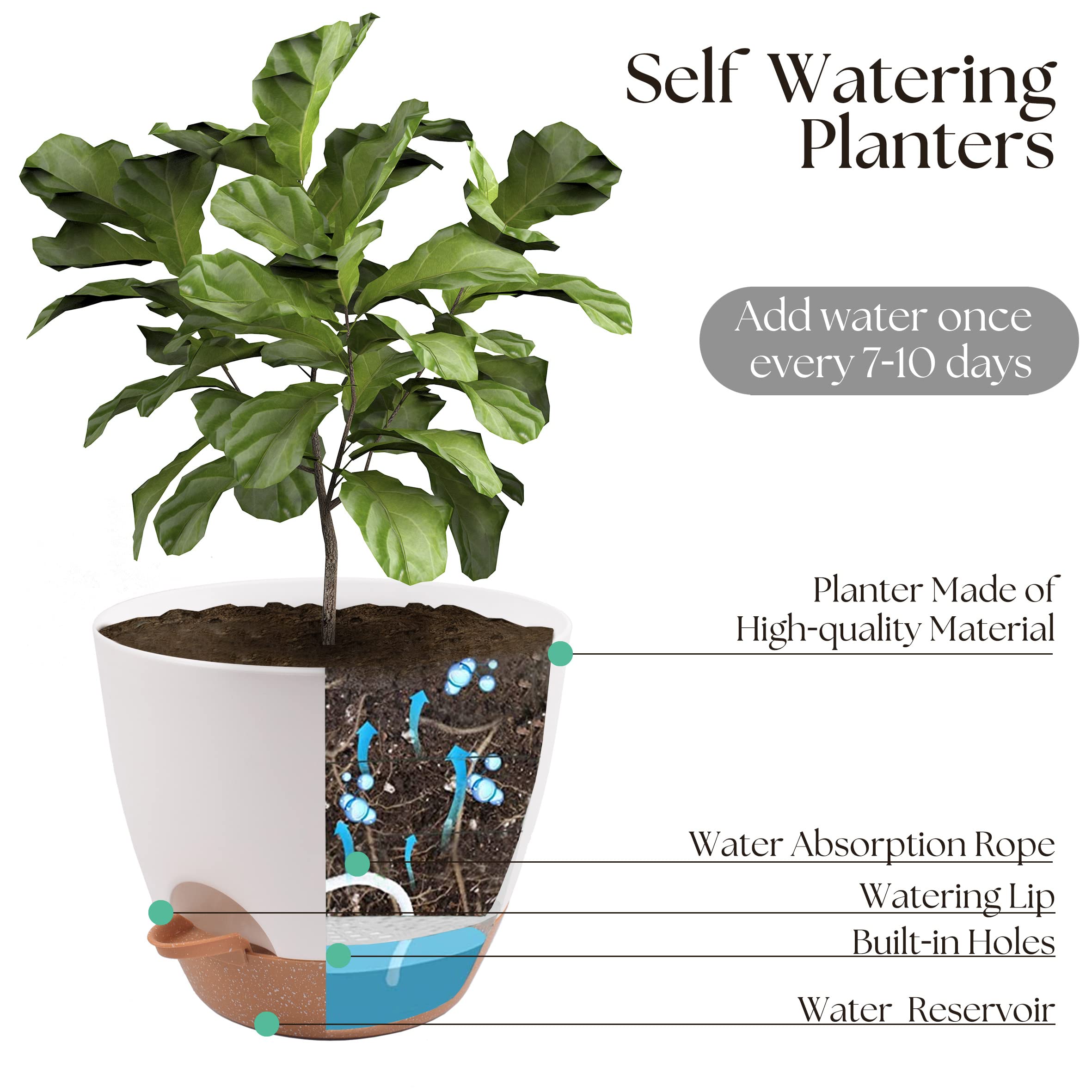 Giraffe Creation 9 inch Plant Pots 2-Pack, Self Watering Flower Pots Indoor Outdoor, Planters with Drainage Hole Saucer Reservoir, White Brown
