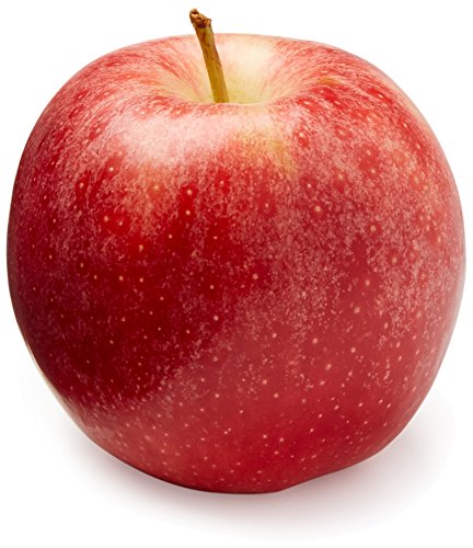 Gala Apple