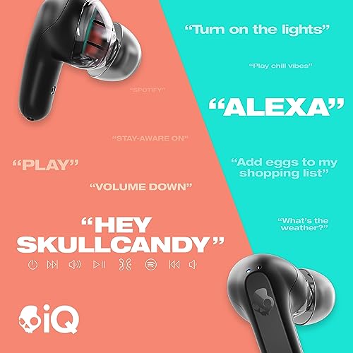 Skullcandy Rail In-Ear Wireless Earbuds, 42 Hr Battery, Skull-iQ, Alexa Enabled, Microphone, Works with iPhone Android and Bluetooth Devices - Black
