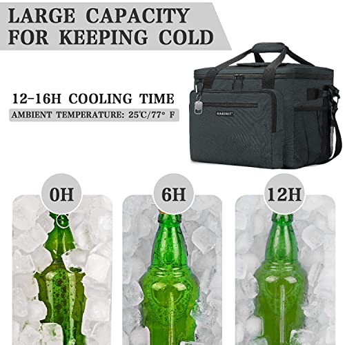 GARDRIT Cooler Bag - 30 Cans Collapsible Insulated Lunch Box, Leak-Proof Cooler Bag Suitable for Camping, Picnic& Beach (20L/Black)