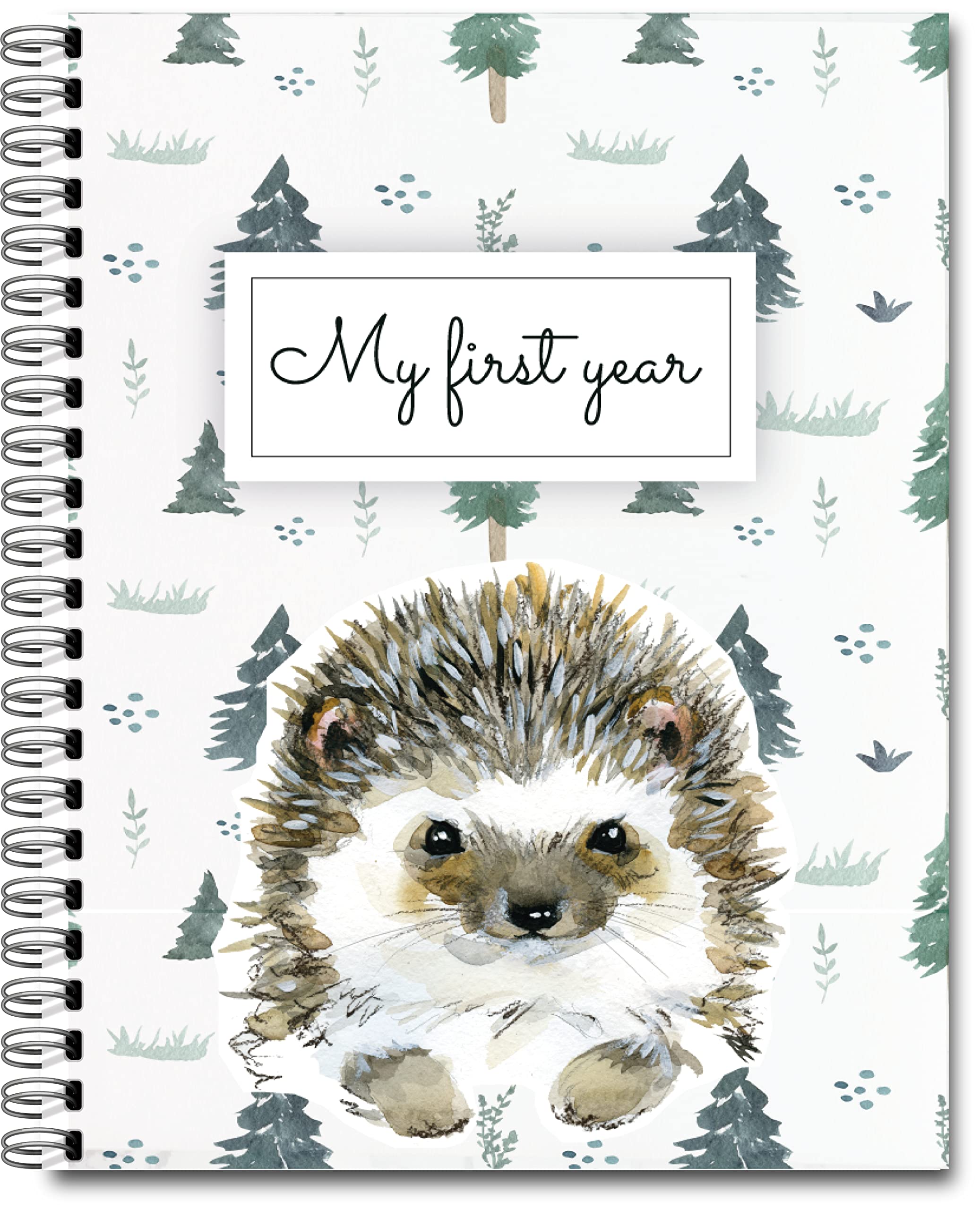 My Baby book, memories book, baby journal (Hedgehog)
