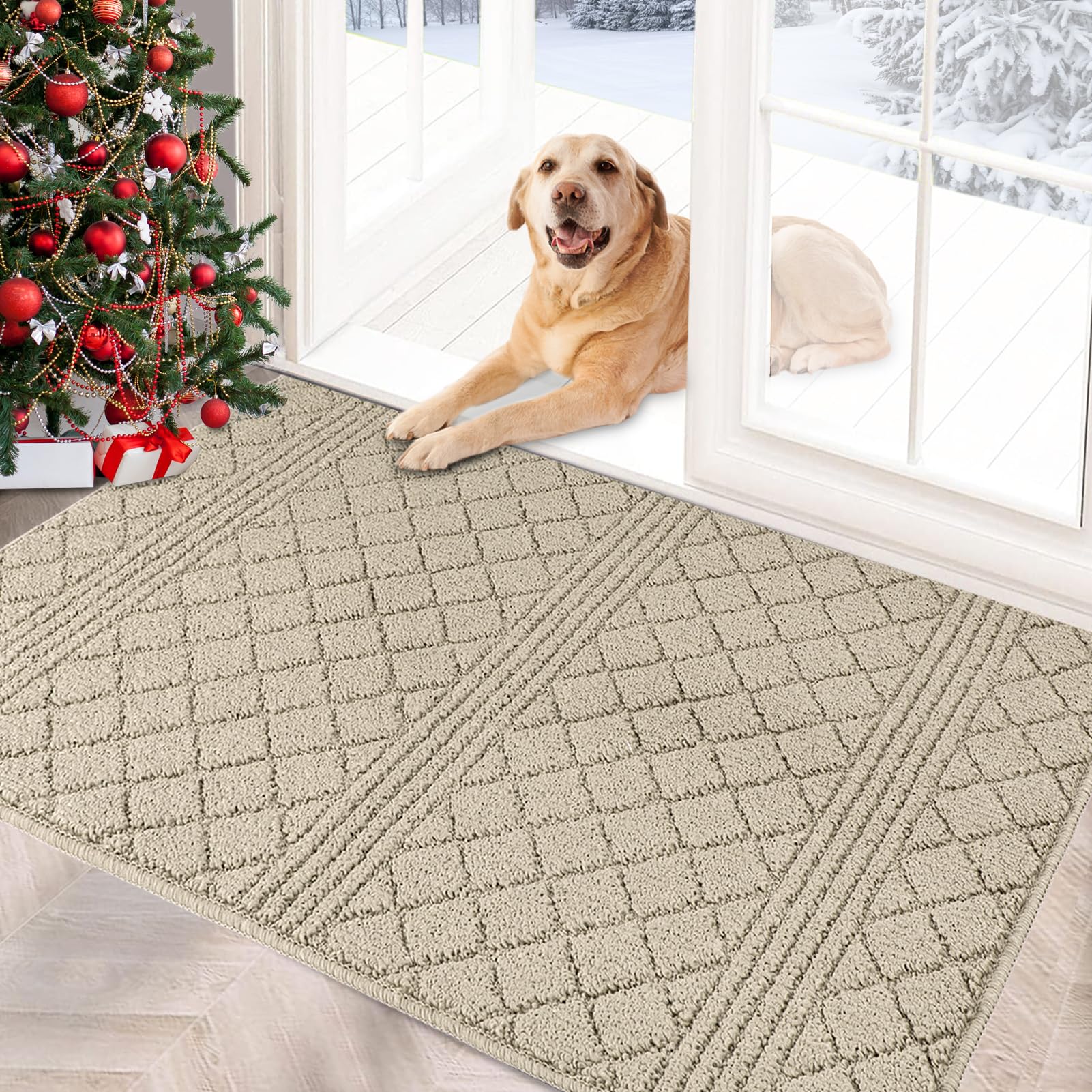 FONEYI Indoor Door Mat, Front Back Door Mat 32" x 48" Non-Slip Rubber Backing Door Rug, Machine Washable Entry Rug, Low Profile Absorbent Dirt Trapper Doormat Inside Floor Mats for Entryway, Beige