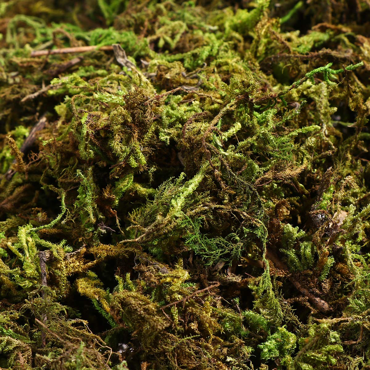 Garneck Artificial Fake Moss Lifelike Green Moss for Potted Plants Home Garden Patio Crafts Centerpieces Decor