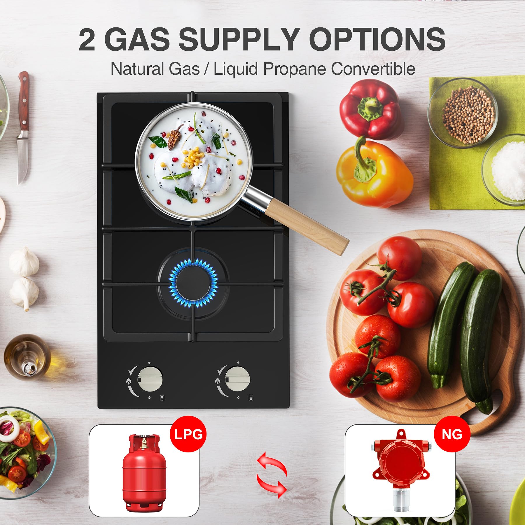 gas 2 burner