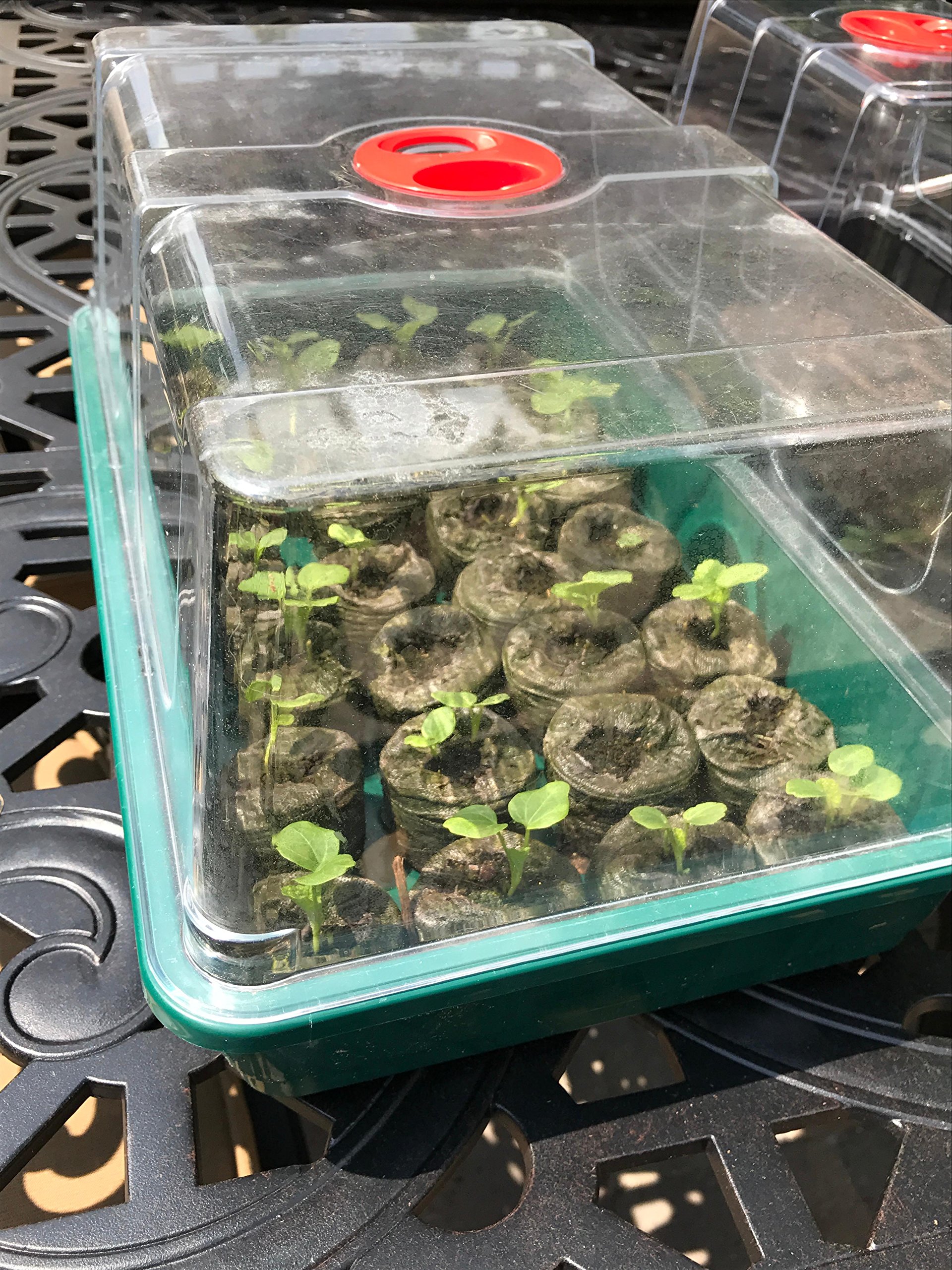 Garland Large High Dome Propagator