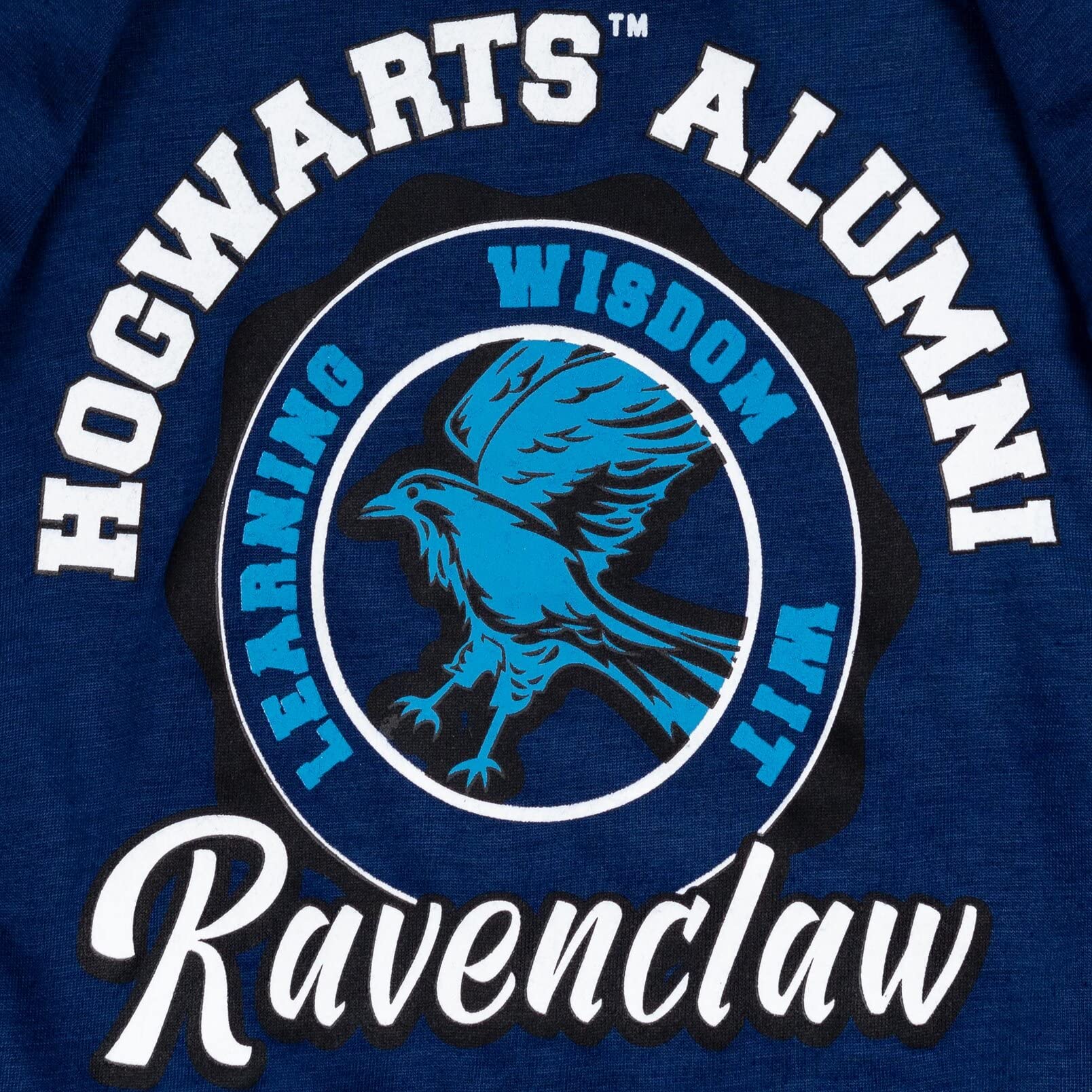 Harry Potter Big Boys Fleece Pullover Hoodie Ravenclaw 18-20