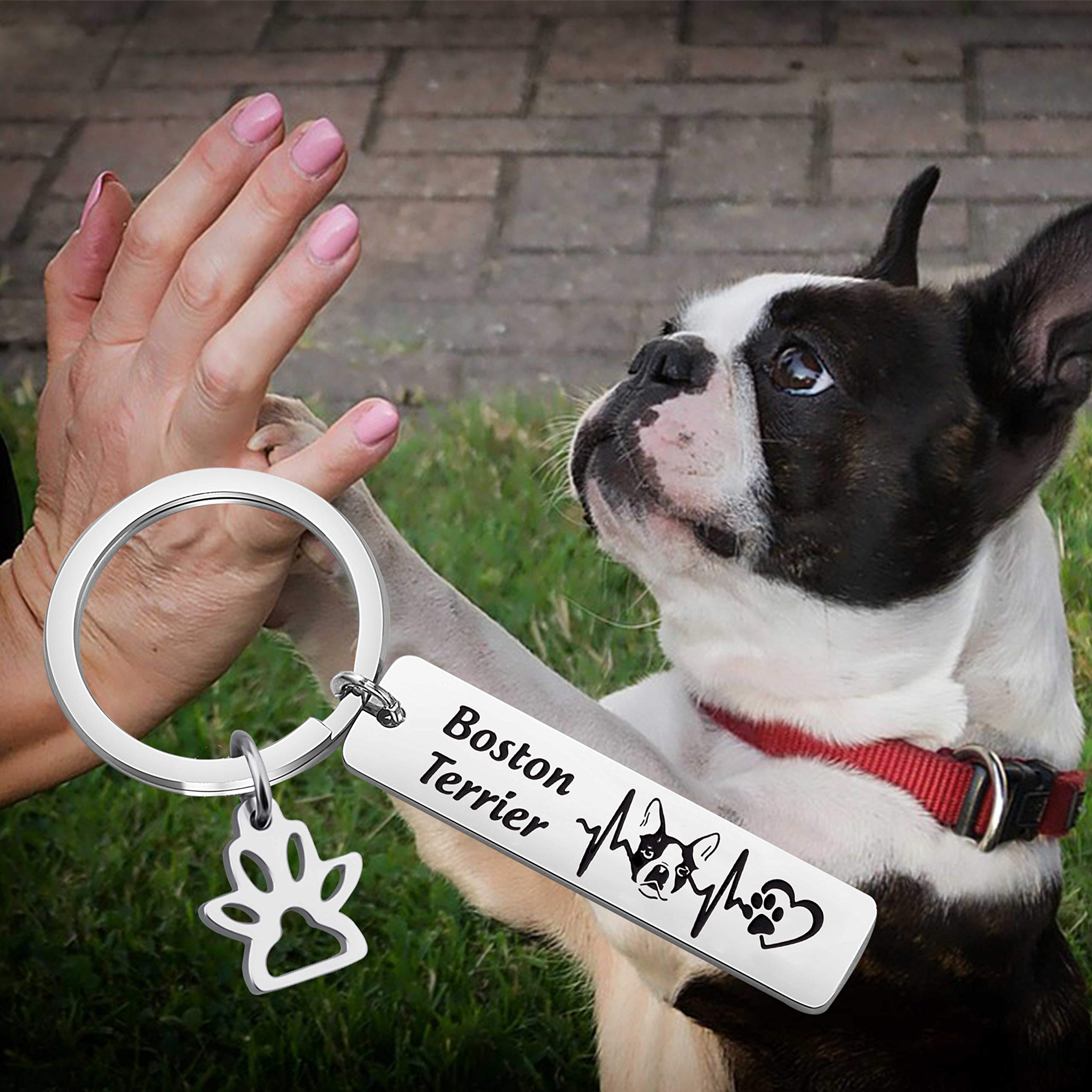 FUSTMW Dog Owner Keychain Boston Terriers,Boxer,Dachshund,Jewelry Golden Receiver,Pitbull Dog Lover Gifts Pet Rescue Gift (Boston Terriers)