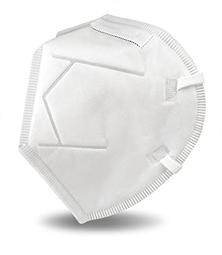 Honeywell Safety Products Safety DF300 H910P N95 Flatfold Disposable Respirator - Box of 50 (DF300H910N95)