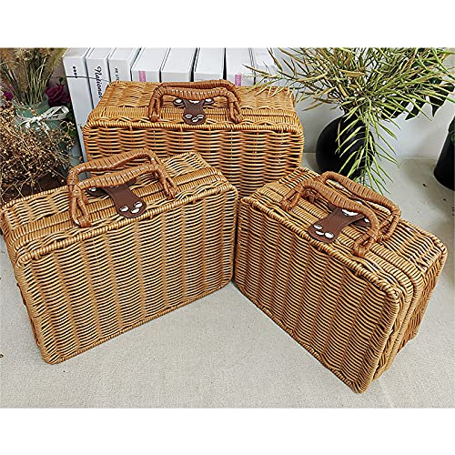 HANTURE Rattan Suitcase Storage Basket Hand Woven Seagrass Baskets Makeup Organizer with Handle Rustic Wicker Bins For Picnic Shelf Box, 29.5x21x12cm/ 11.6x4.7x8.3 inch