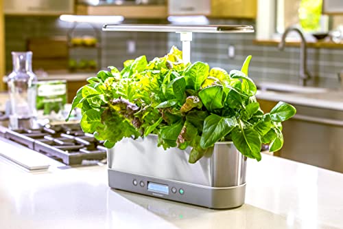 Harvest Elite Slim SS with Heirloom Salad Kit