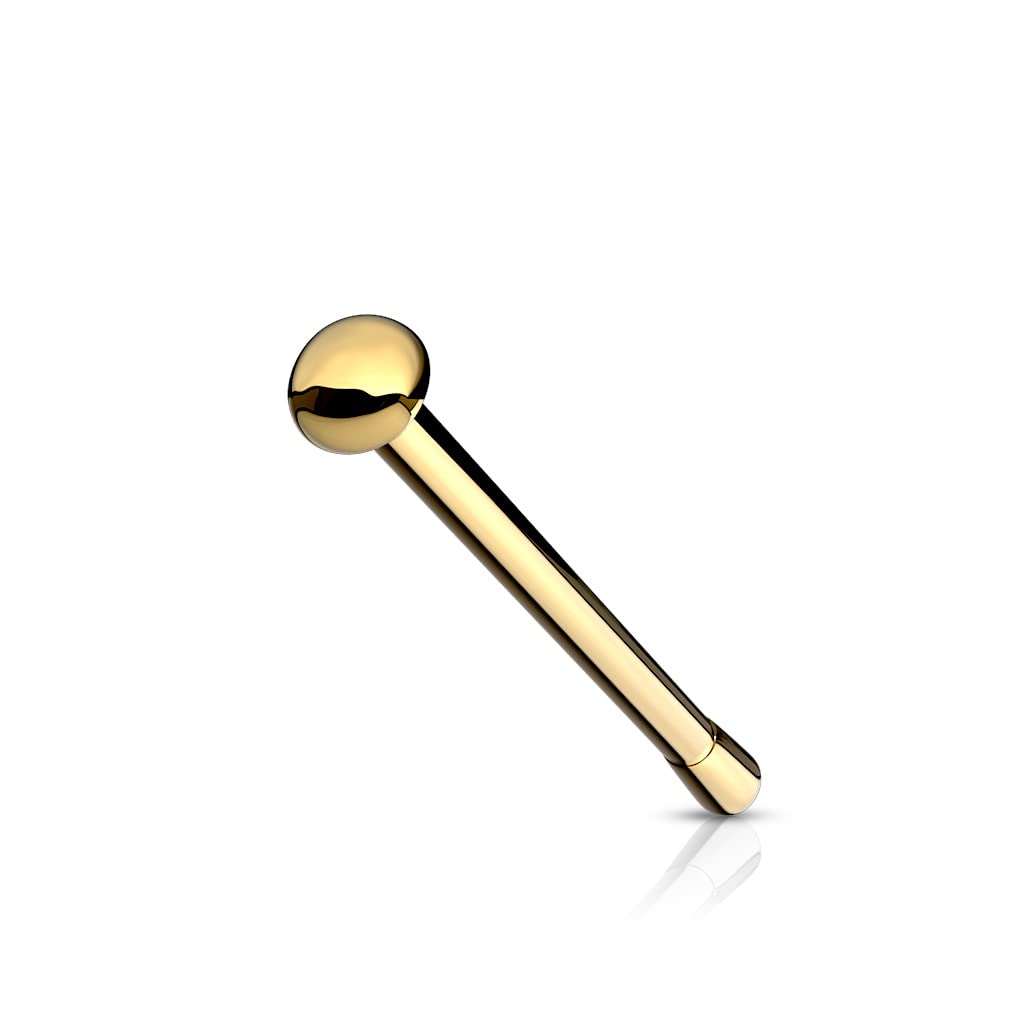 Forbidden Body Jewelry 20g IP Plated 2mm Basic Dome Top Gold Surgical Steel Nose Stud