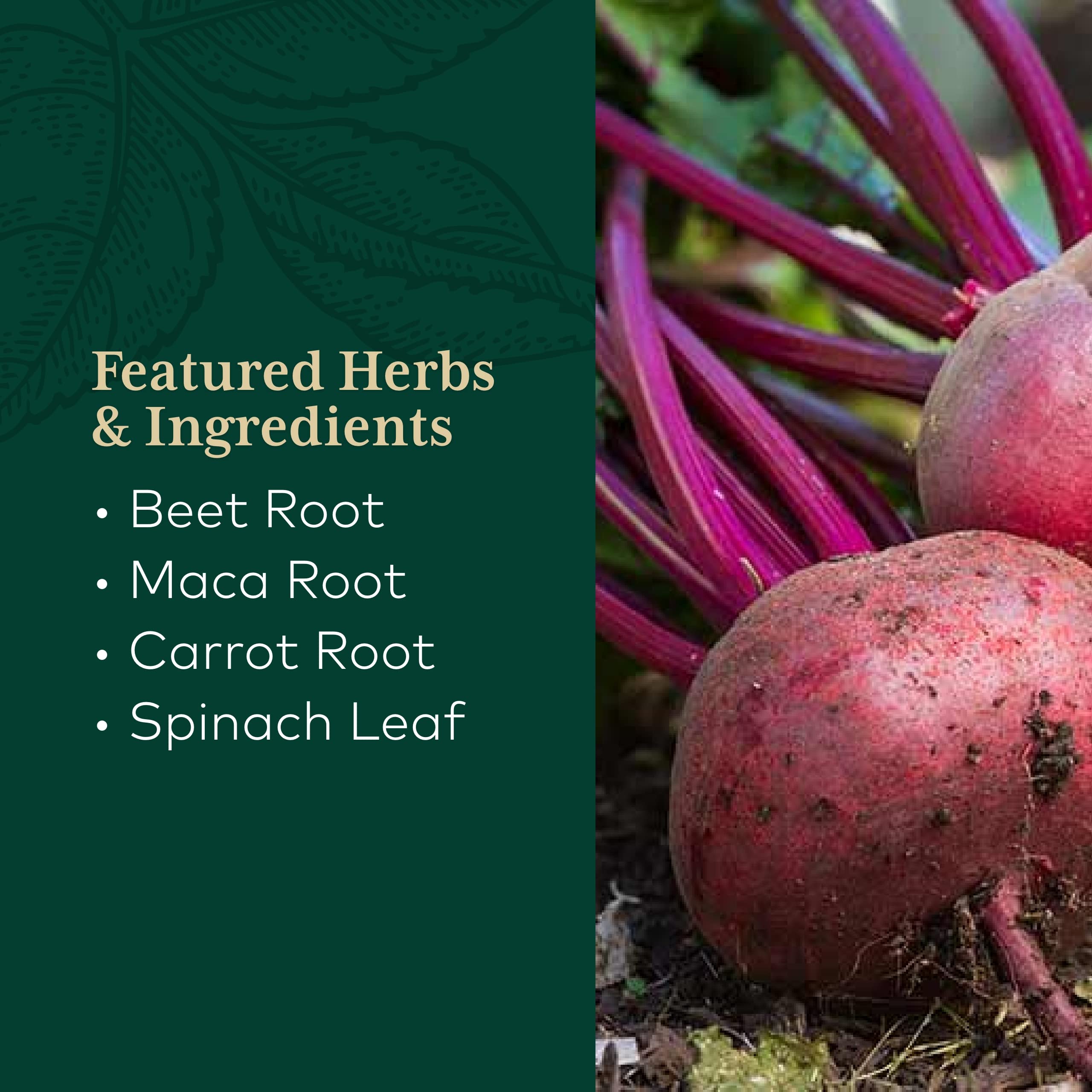 Gaia Herbs Pro Fermented Beet and Maca - Circulation, Kidney & Liver Supplement - with Organic Fermented Beet & Organic Maca - 60 Capsules (30 Servings)