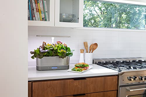 Harvest Elite Slim SS with Heirloom Salad Kit