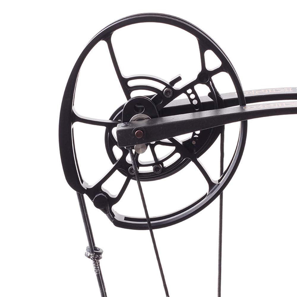 GOFEI Hunting Compound Bow, Archery Dual Purpose Composite Pulley Bow Outdoor Steel Ball Bow for Adult Archer Training