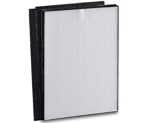 GoodVac Replacement Filter for Sharp HEPA FZ-A40SFU FP-A40UW Air Purifier Filter (HEPA + 4 Carbon Pre-filters)
