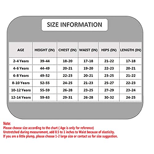 HiDance Ballet Leotards, Girls' Classic Short Sleeve Leotards for Ballet Dance Gymnastics, Crisscross Straps Back Dance Tops black 160