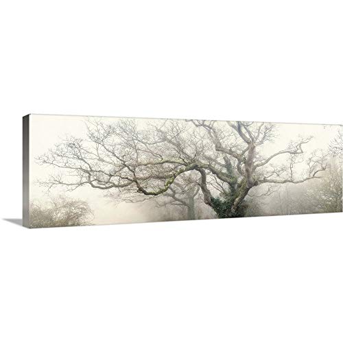 GREATBIGCANVAS panoramic octopus ghost oak Canvas Wall Art Print, Tree Home Decor Artwork, 48"x16"x1.5"