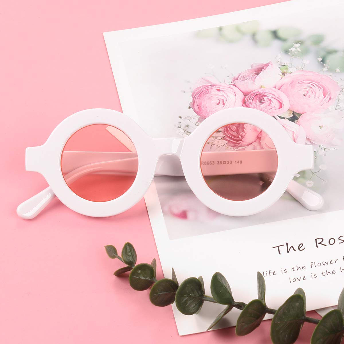 Fuaisi Retro Fashion Oversized Thick Bold Frame Round Sunglasses Anti-UV Outdoor Colorful Glasses (White Frame/Pink Lens)