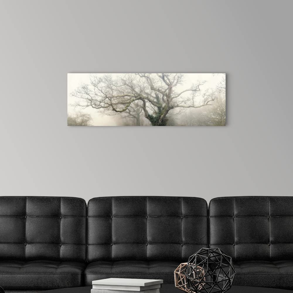 GREATBIGCANVAS panoramic octopus ghost oak Canvas Wall Art Print, Tree Home Decor Artwork, 48"x16"x1.5"