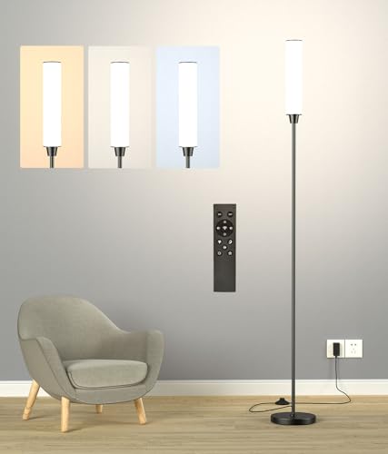 HZX999 Remote Control Floor lamp,Bright Floor Lamps for Bedroom、Living Room,Stepless Adjustable 3000K-6000K Colors and 10-100% Brightness Remote Control Lamps,Standing Lights for Living Room (Black)