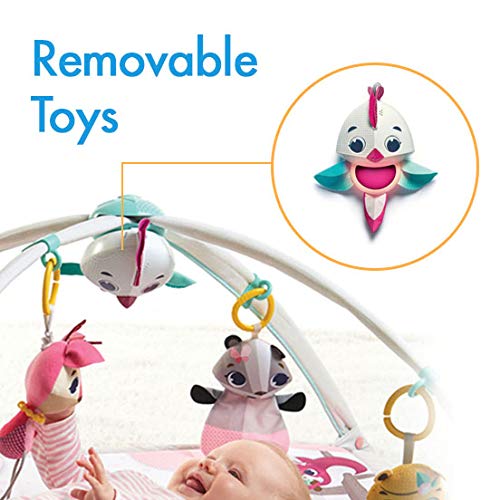 Gymini Deluxe Activity Gym Play Mat, Tiny Princess Tales