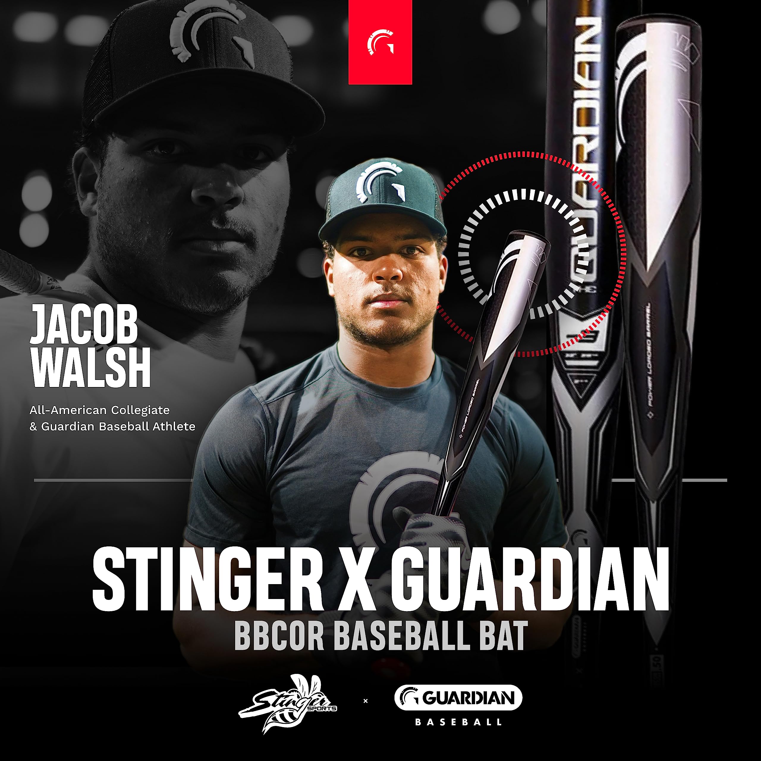 Guardian X Stinger BBCOR Baseball Bat - 3 Drop - 2 5/8" Barrel - Available in 31β to 34β - Drop 3 Baseball Bat for Middle School, High School, or College - 32" - 29 oz - Black/Gray