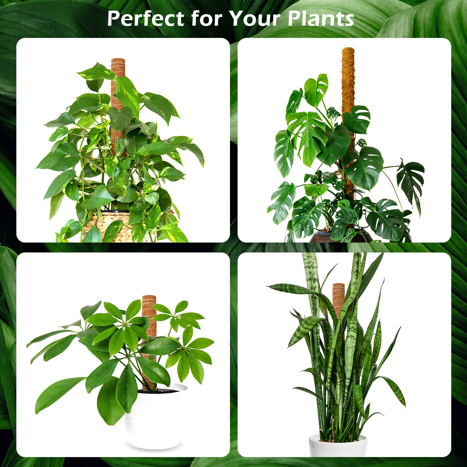 HongWay 77 Inch Moss Pole for Plant Monstera, 6 Pack 17 Inch Moss Plant Support, Monstera Support, Plant Climbing Pole, Moss Plant Stake