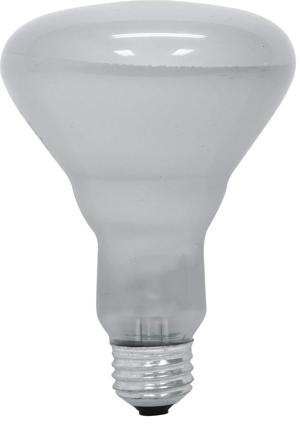 GE 65 Watt Soft White 580-Lumen Floodlight BR30 Light Bulb, (12 Pack)