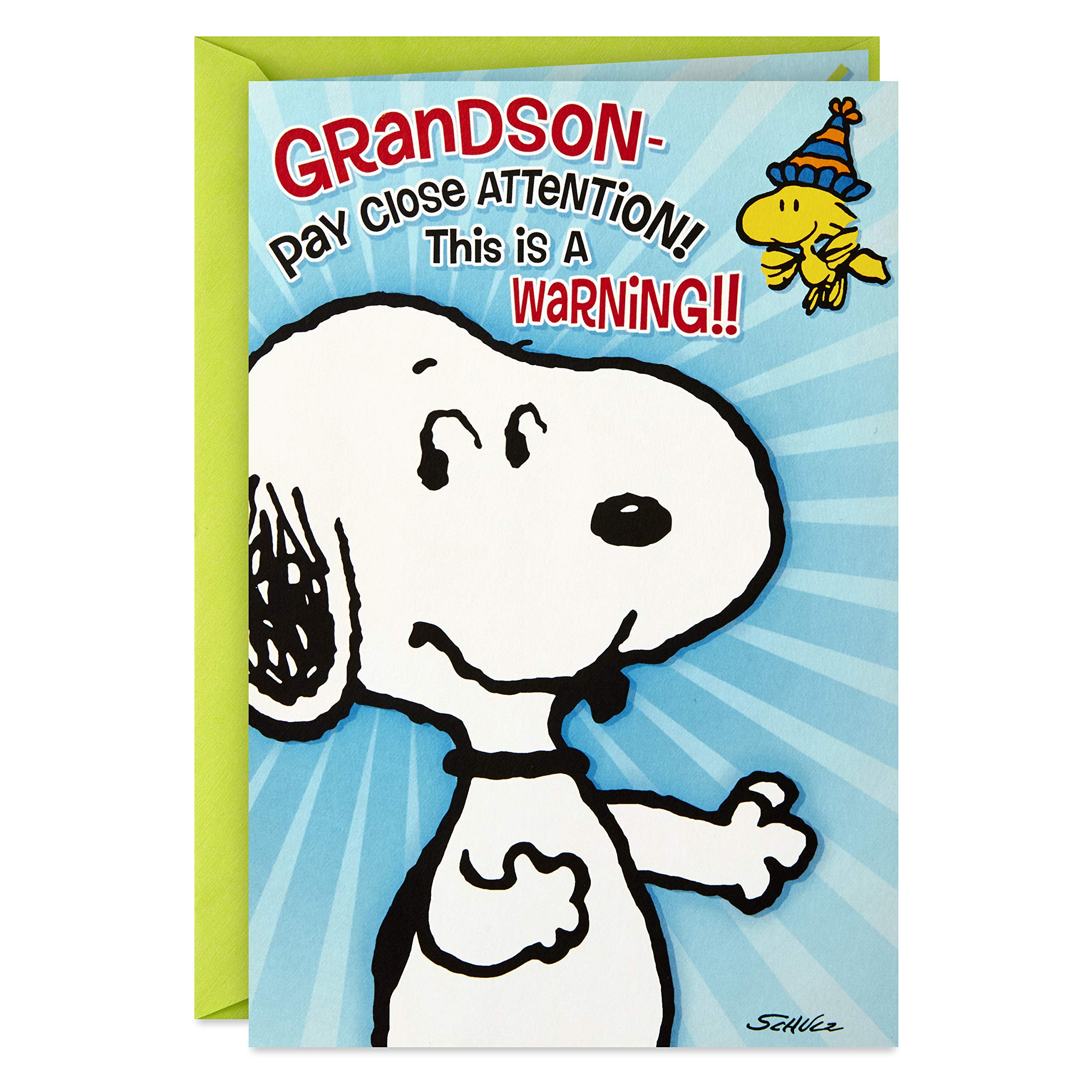 Hallmark Peanuts Pop Up Birthday Card for Grandson (Birthday Hug)
