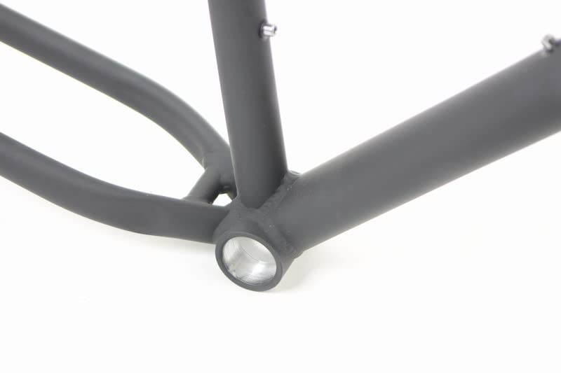 Gravity Deadeye Single Speed 29er Bike Frame Frameset Rigid Fork Unbranded Mountain Bike for 29 Inch Wheels (21" - fits most 6'2 to 6'7")
