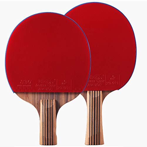 Hewen-Ping Pong Set Durable Table Tennis Set Table Tennis Racket Ping Pong Bat Set with 1 Rackets, 10 Balls and 1 Racket Case Table Tennis Bat (Size : Short)