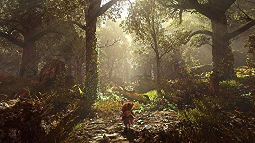 Ghost Of A Tale (PS4)