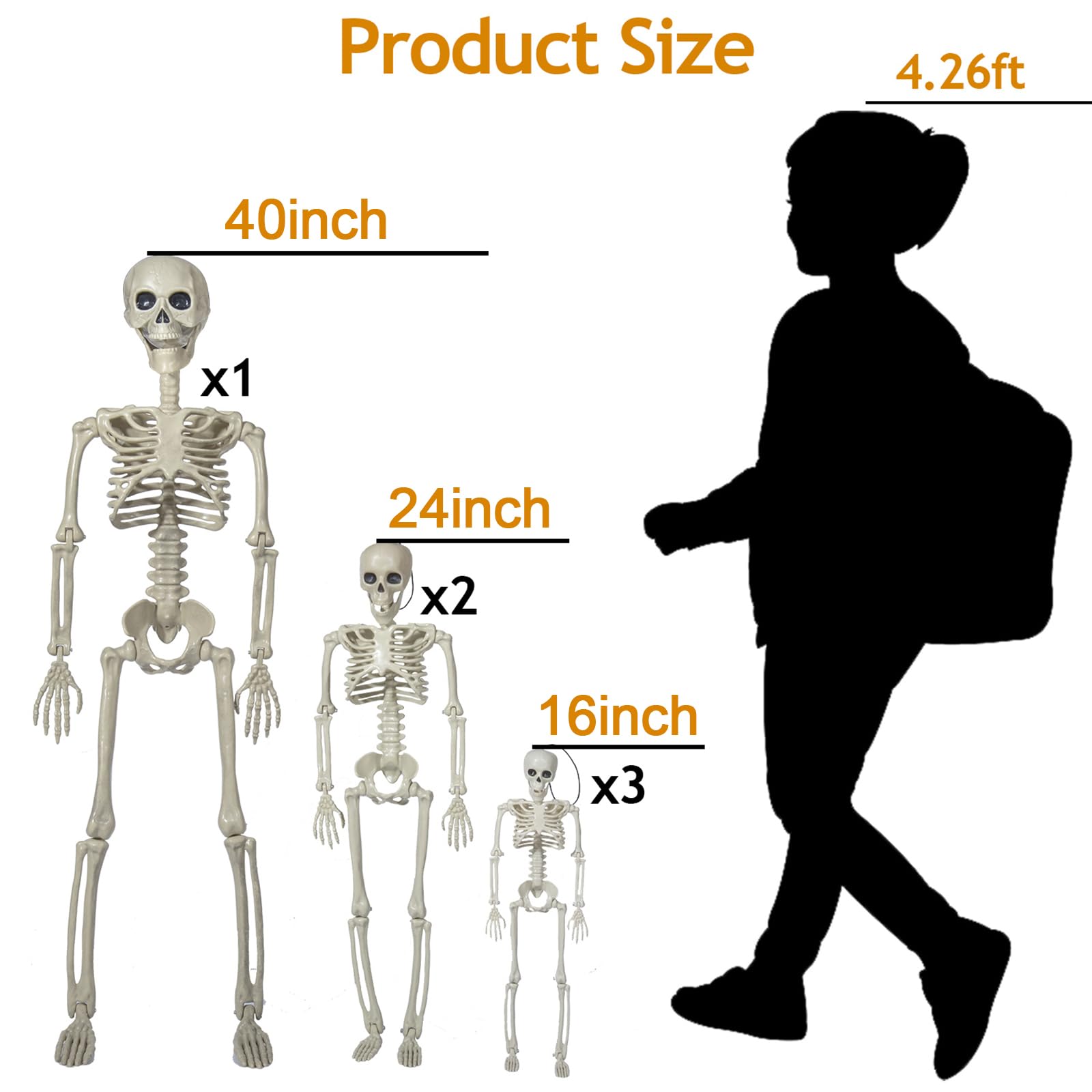 HBSTK 6 Pack(1×40"+2×24"+3×16") Pose-N-Stay Halloween Skeleton Life Size Full Body Posable Movable Jonints for Halloween Decoration Decor