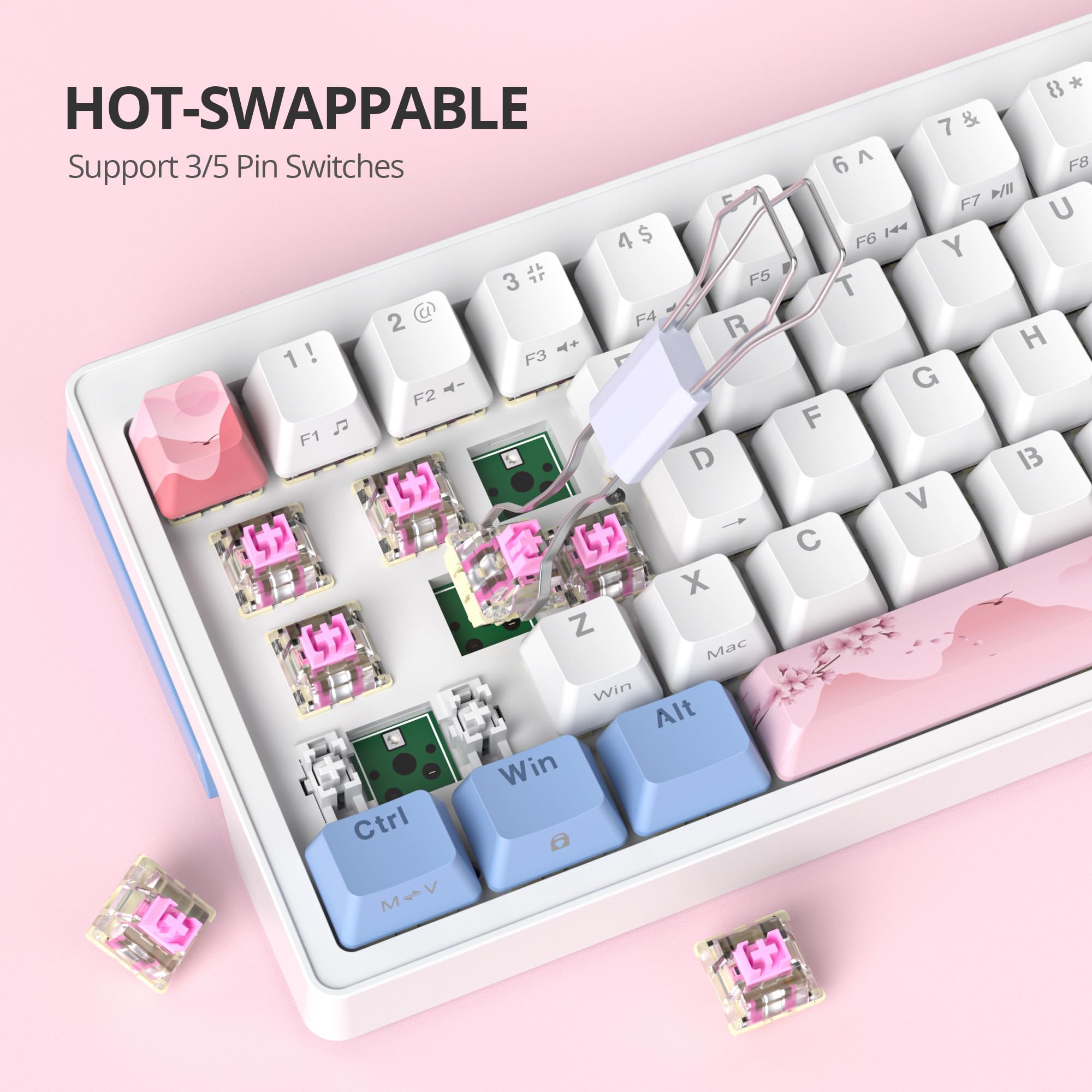 Guffercty kred Sk84 75 Percent Wired Gaming Mechanical Keyboard Hot-Swappable with Gateron Optical Red Switch RGB LED programmable N-Key Rollover for Mac Windows (Gateron Red Switch, Boo)
