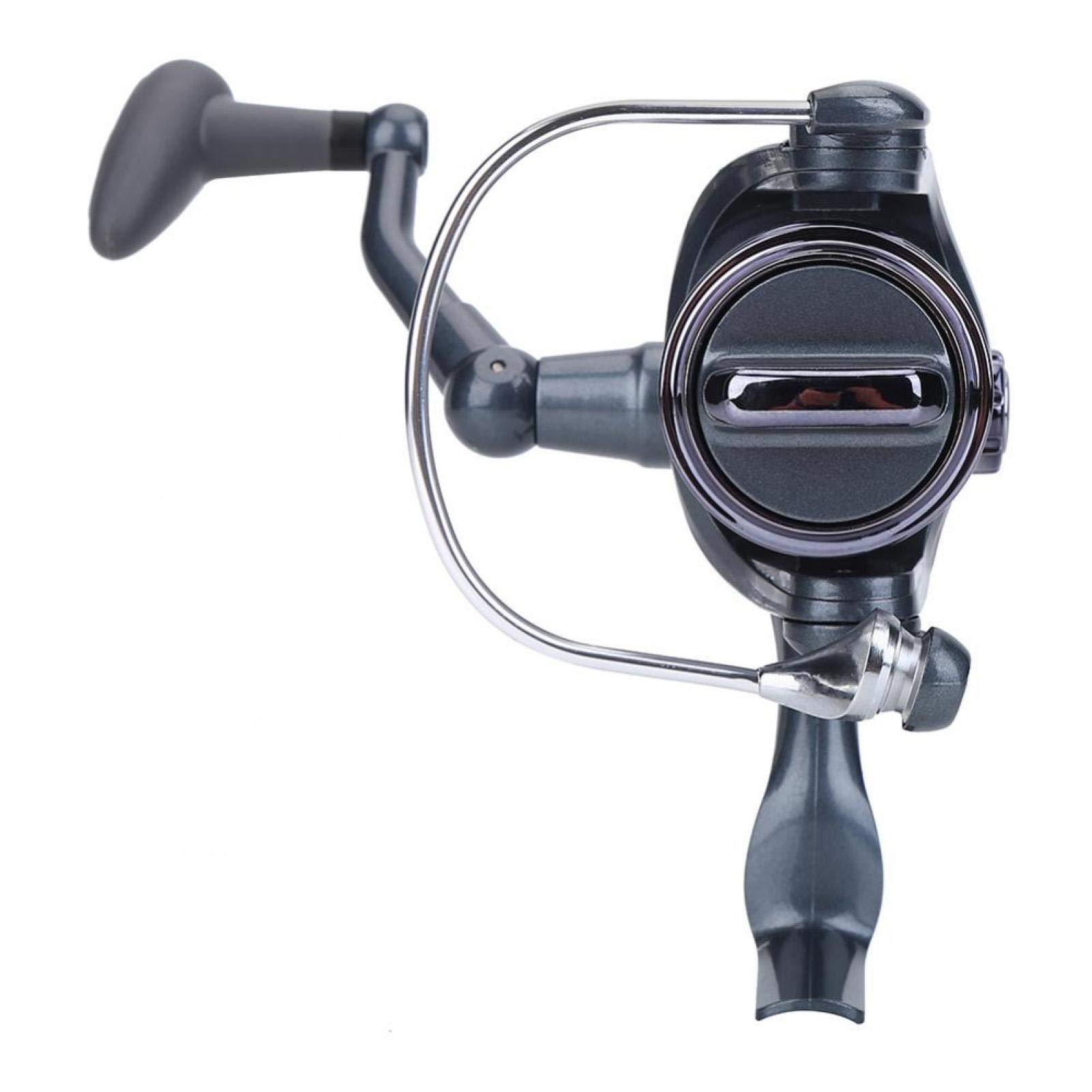 Haowecib Carp Spinning Reel, Durable Fishing Reel, Sturdy and Durable Corrosion Resistant for Carp Fishing Tackle(20FR)