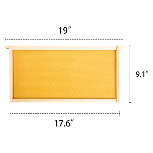 MayBee Hives-Deep or Brood Size Beehive Frames and Foundations,10 Pack Honey Bee Frames with 100% Beeswax Coated Food Grade Foundation Sheets, 9-1/8-Inch(Yellow)