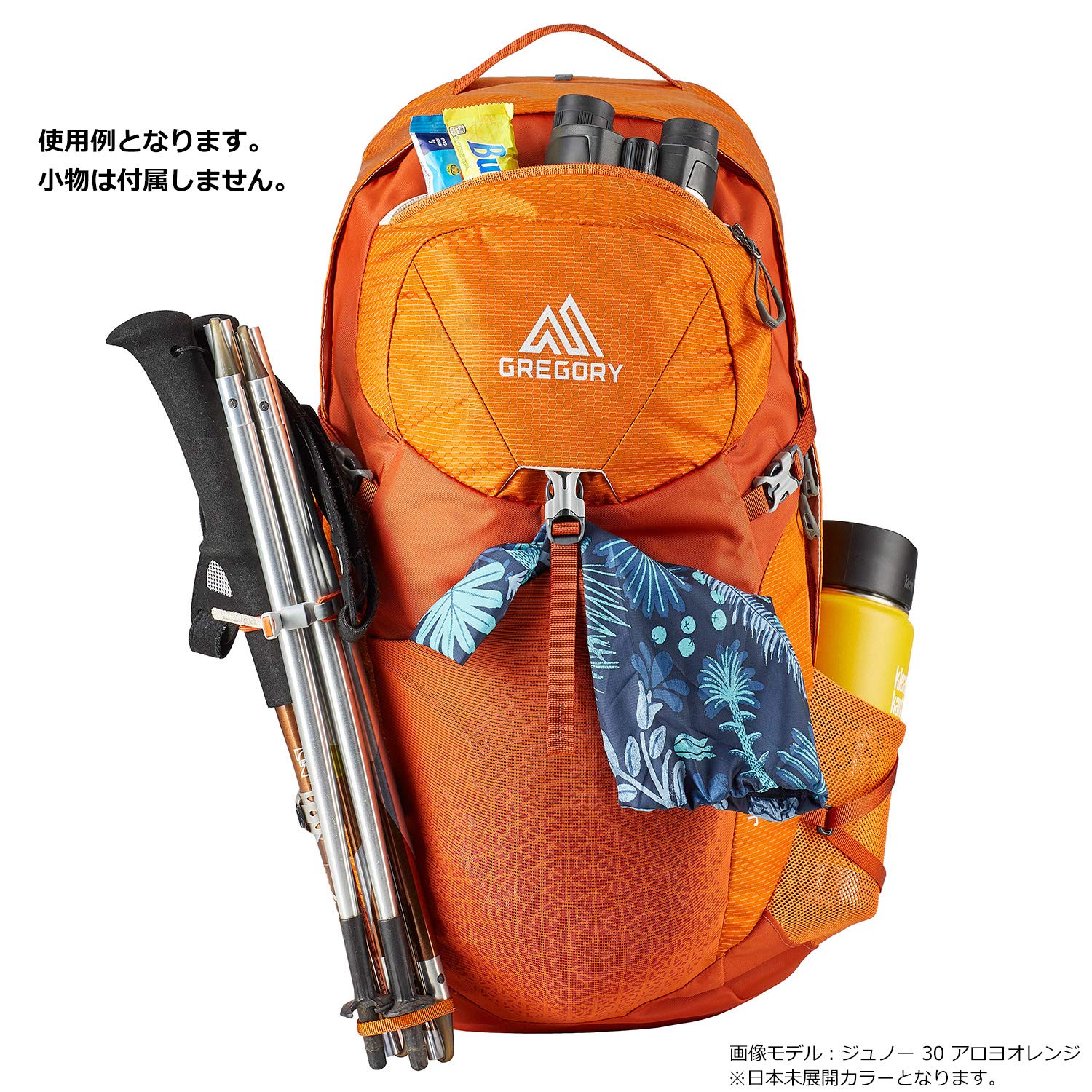 Gregory Mountain Products Women's Juno 24 Hiking Backpack