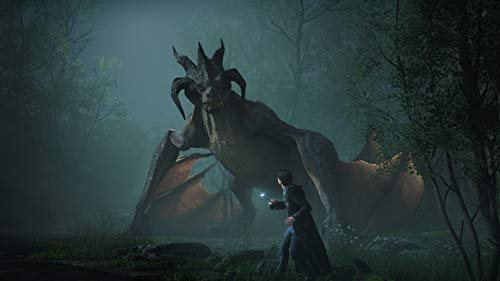Hogwarts Legacy Collector's Edition - Xbox Series X